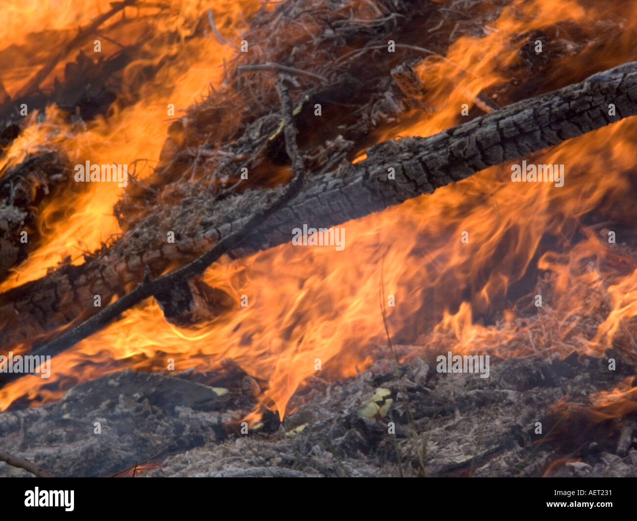 fierce licking flames fire hot wood timbers alight burning embers ...