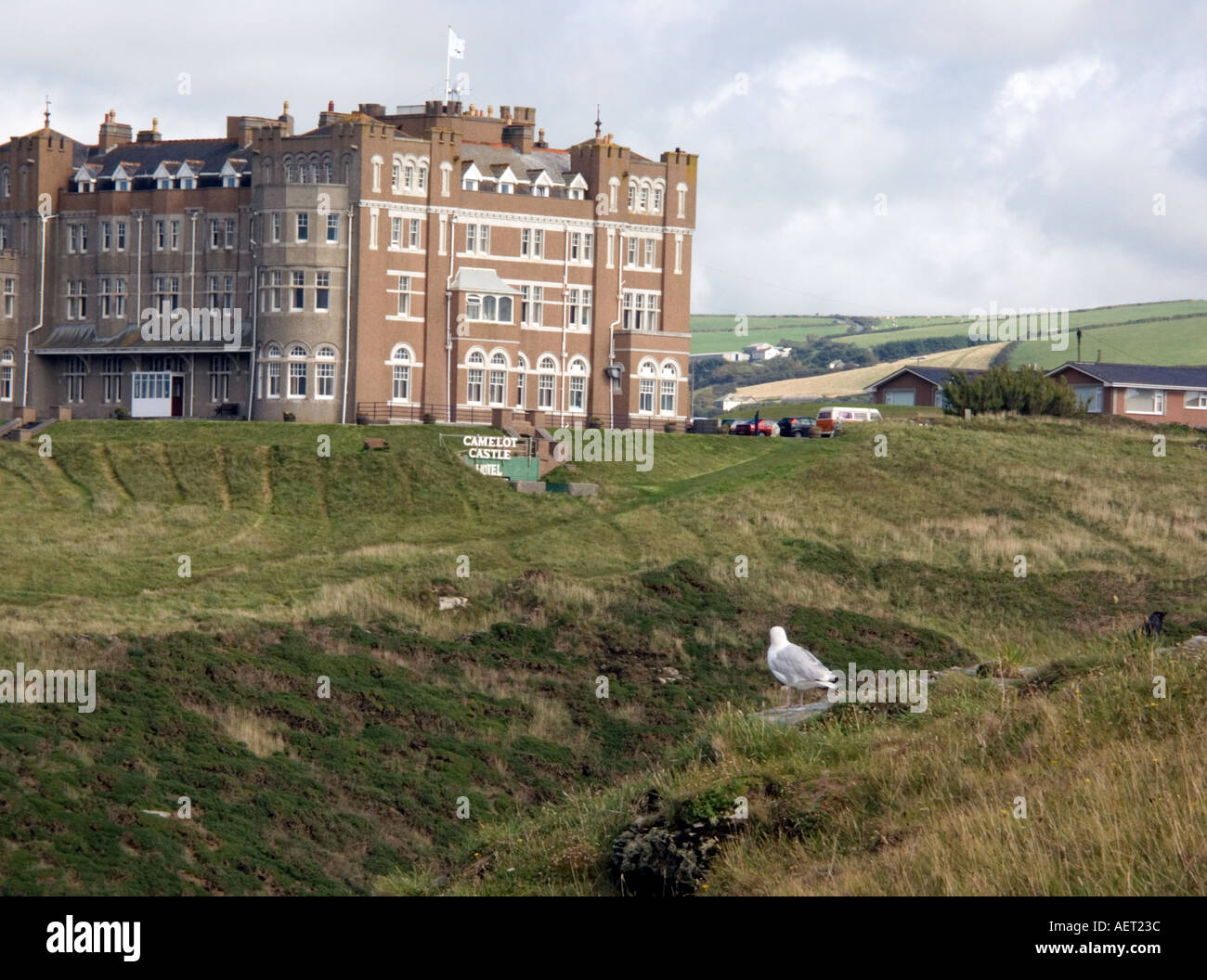Tintagel Hotel, Camelot Castle Hotel, viewed by a Herring Gull ...