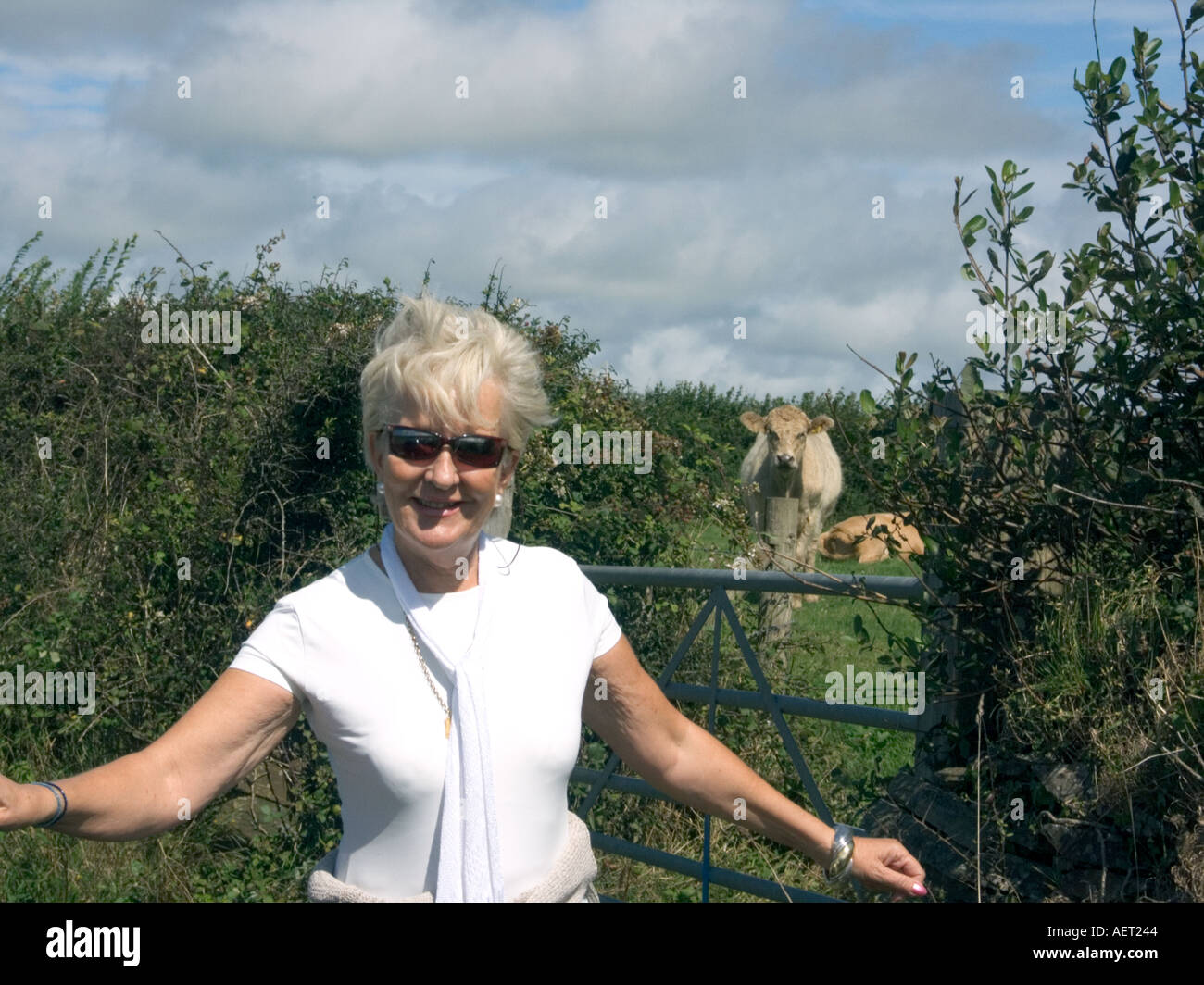 Middle aged british woman posing hi-res stock photography and images ...