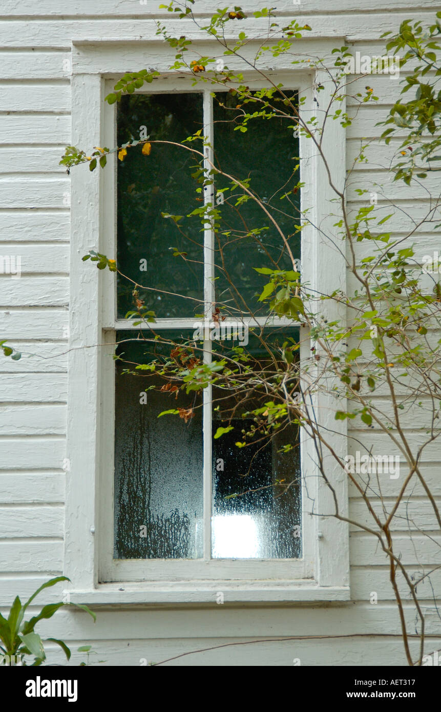 Reflection in white window Stock Photo - Alamy
