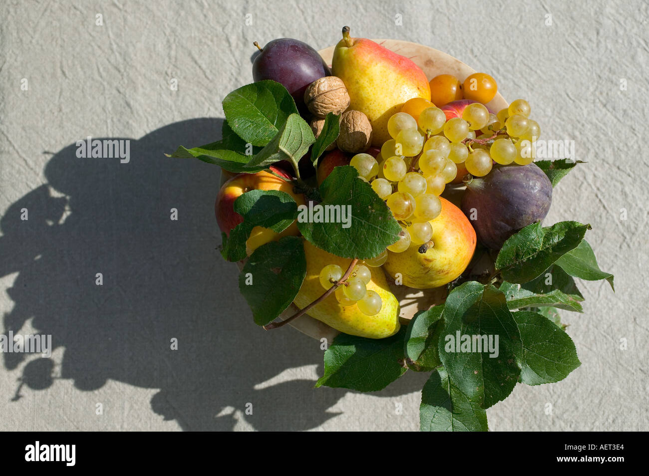 SEASONAL STILL LIFE WITH AN ASSORTMENT OF AUTUMNAL FRUITS AND SHADOW ...