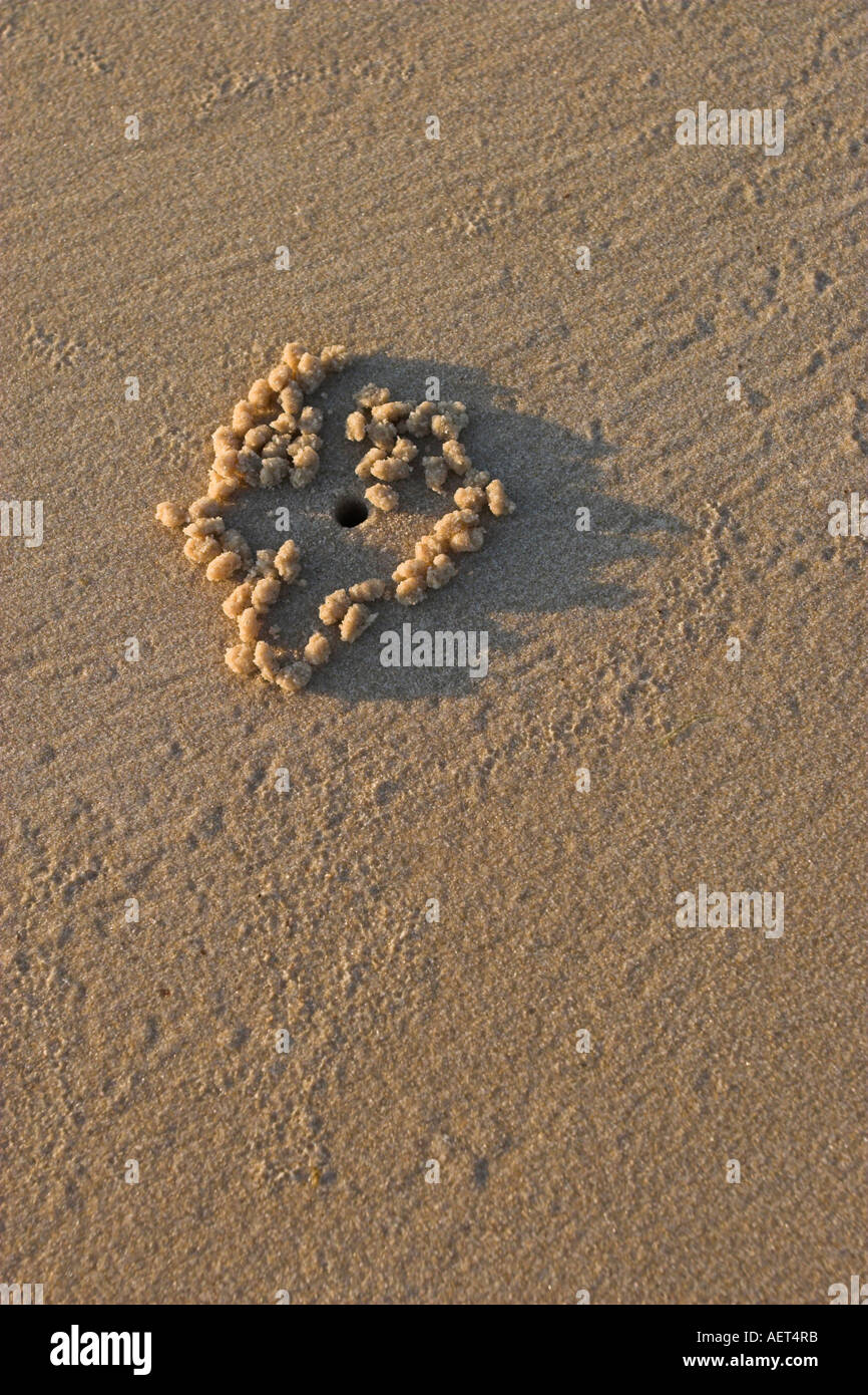 Crab ball patterns on the beach Fraser Island Queensland Australia ...