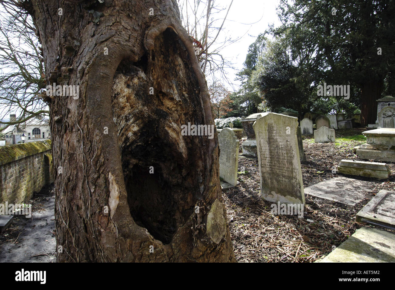 A graveyard in Hampstead, north London, UK Stock Photo - Alamy