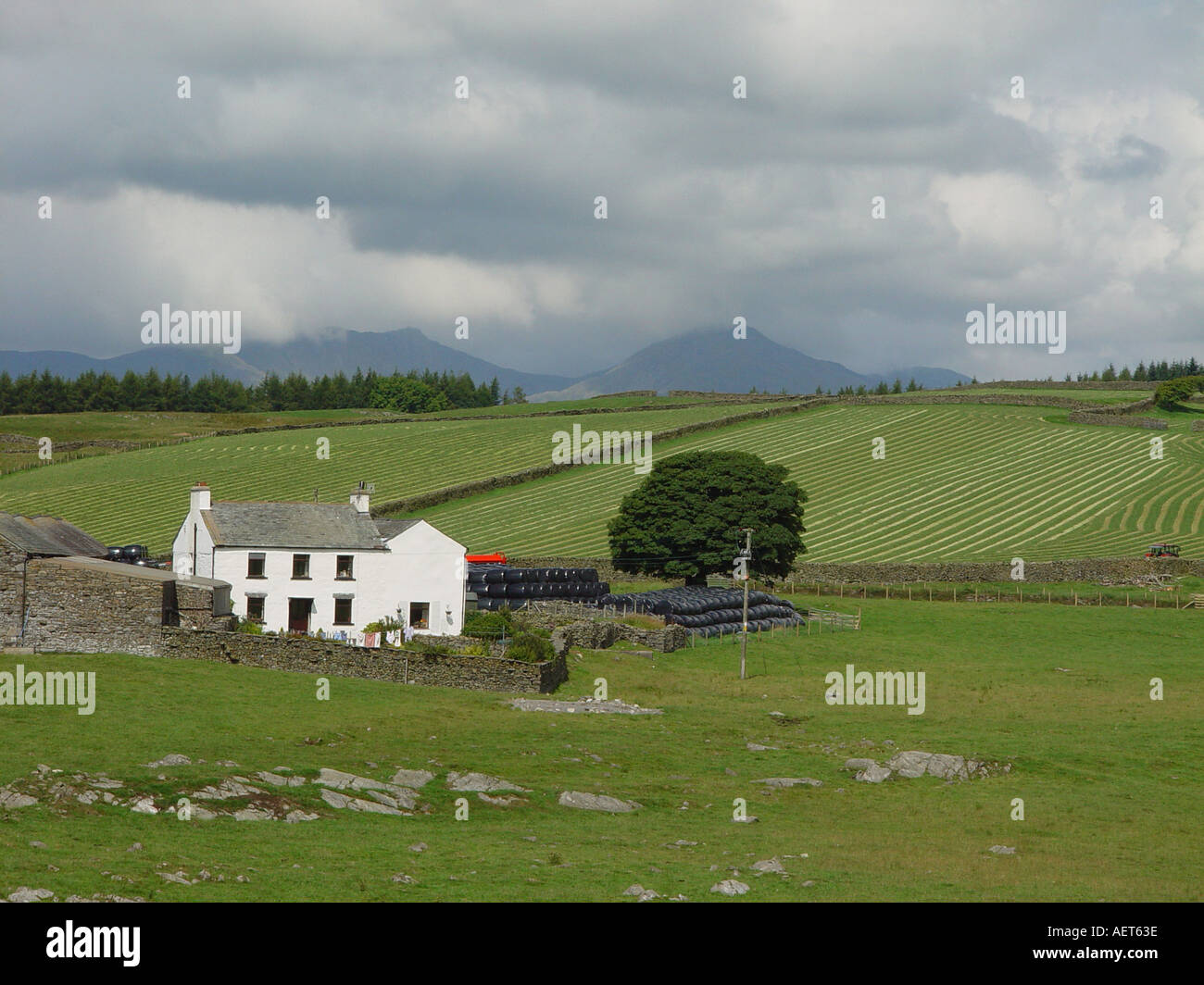 Farmhouse in Lake District Cumbria Stock Photo - Alamy