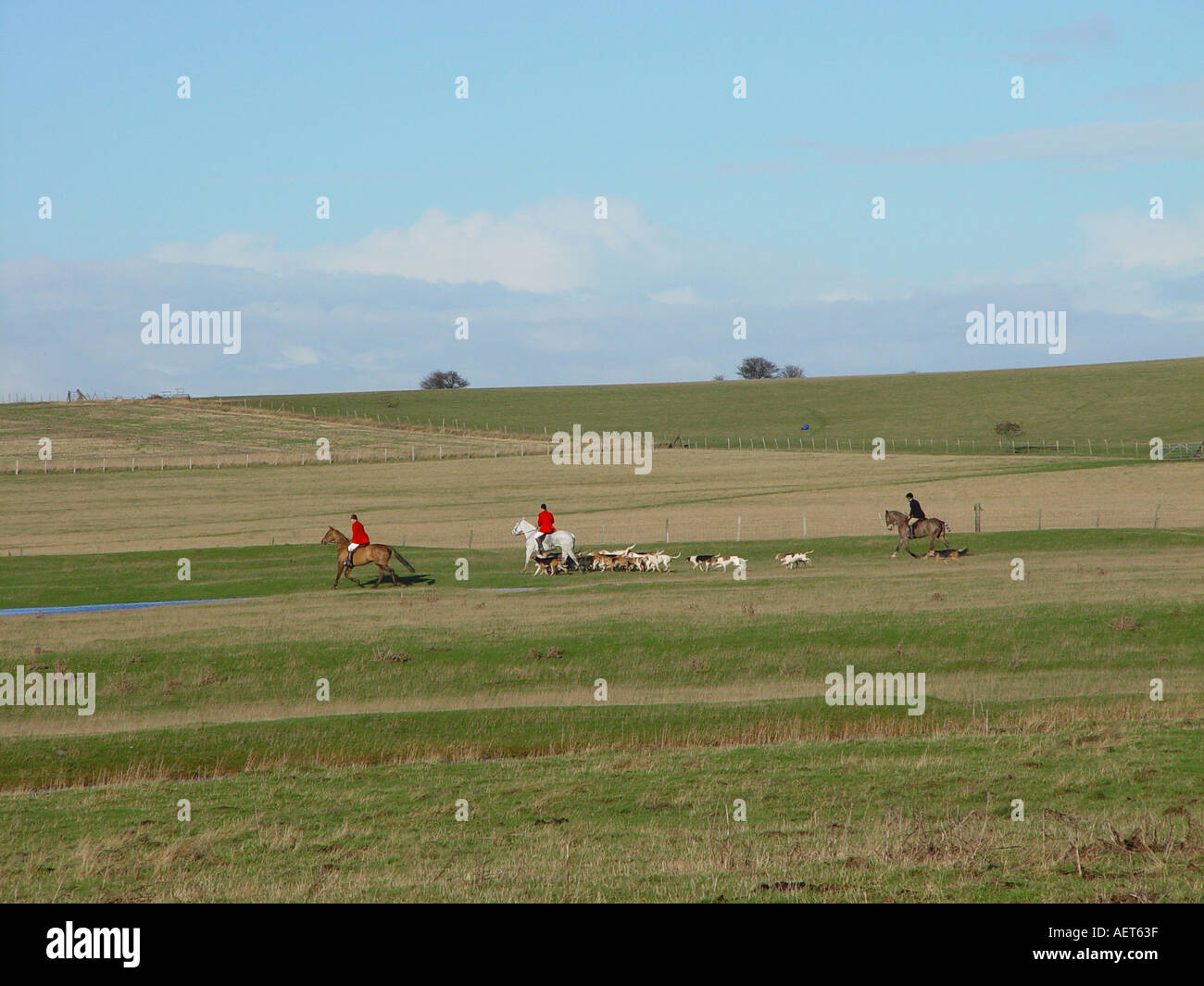 A fox hunt in progress on the Isle of Sheppey kent Horseback riders ...