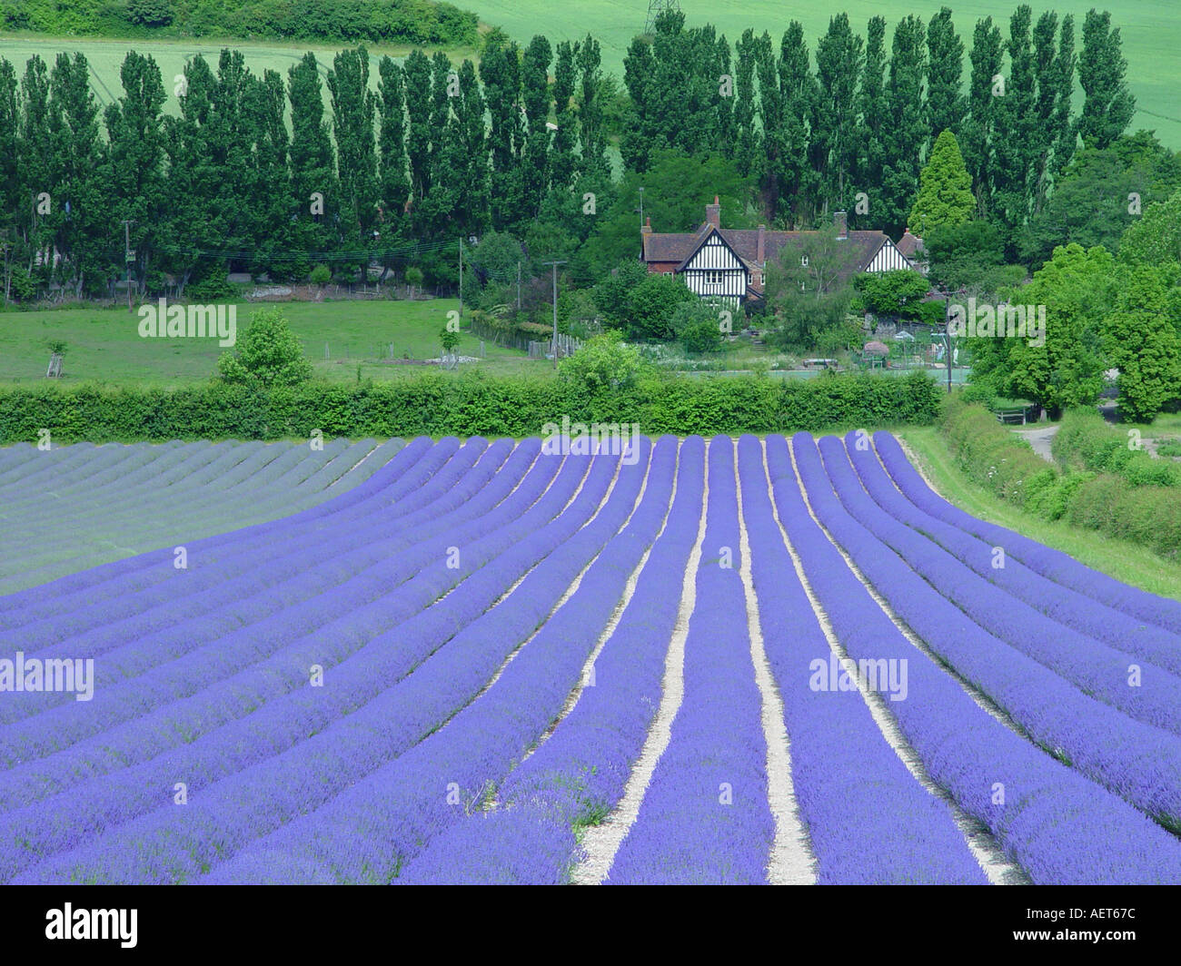 Kent farming hi-res stock photography and images - Alamy