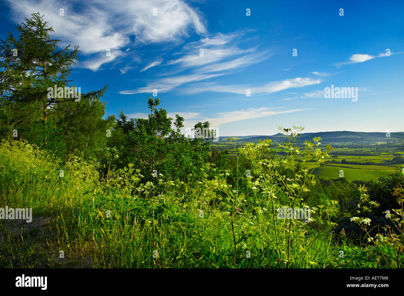 Roseberry Topping from Clay Bank Stokesley North Yorkshire England ...