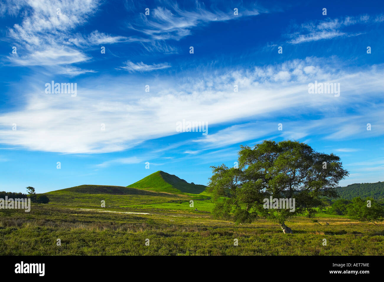 Hawnby Hill North York Moors National Park England Stock Photo - Alamy