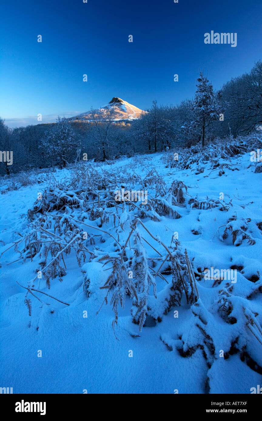 Roseberry Topping from Newton Wood North Yorkshire in winter snow Stock ...