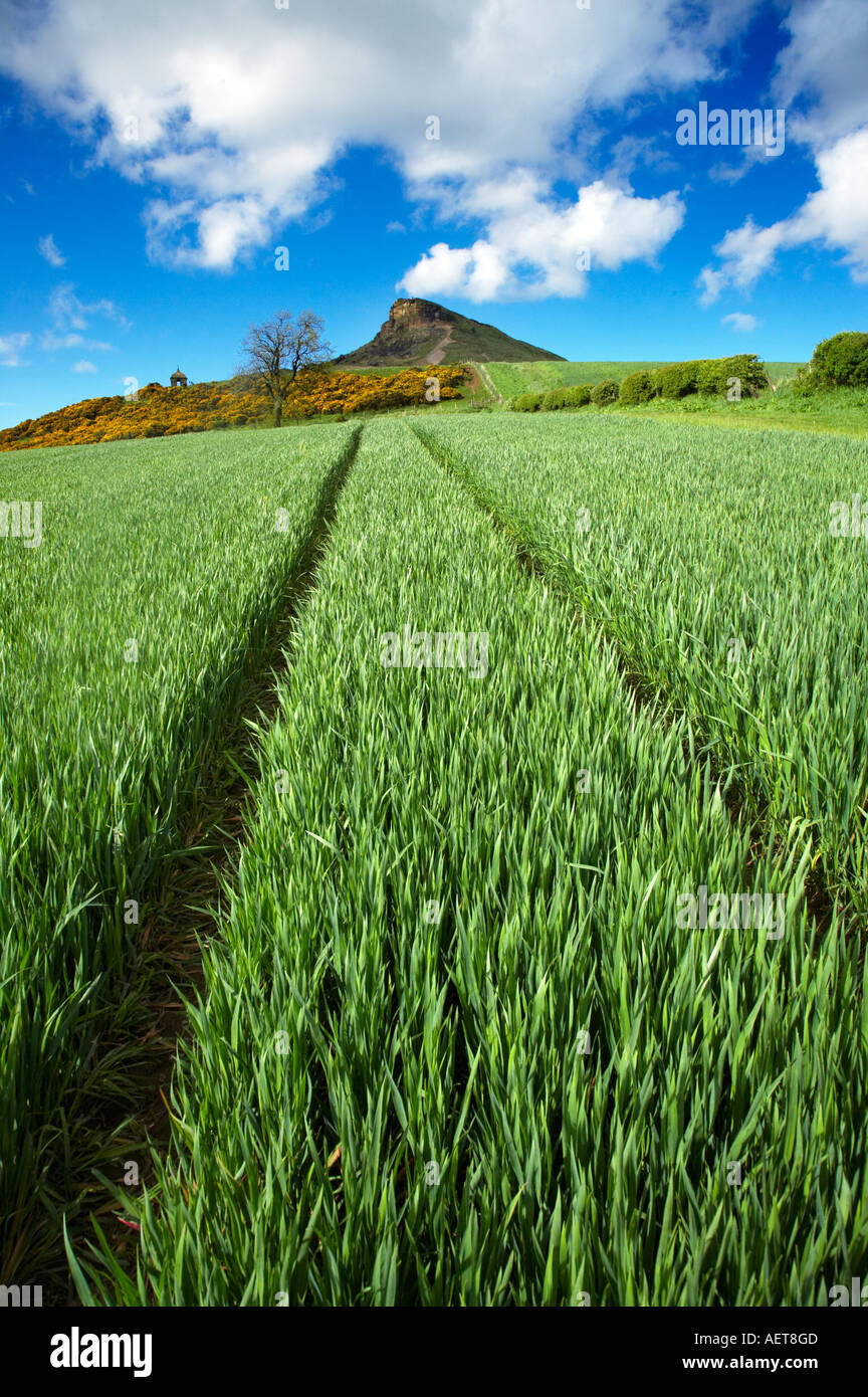 Roseberry Topping North Yorkshire Stock Photo - Alamy