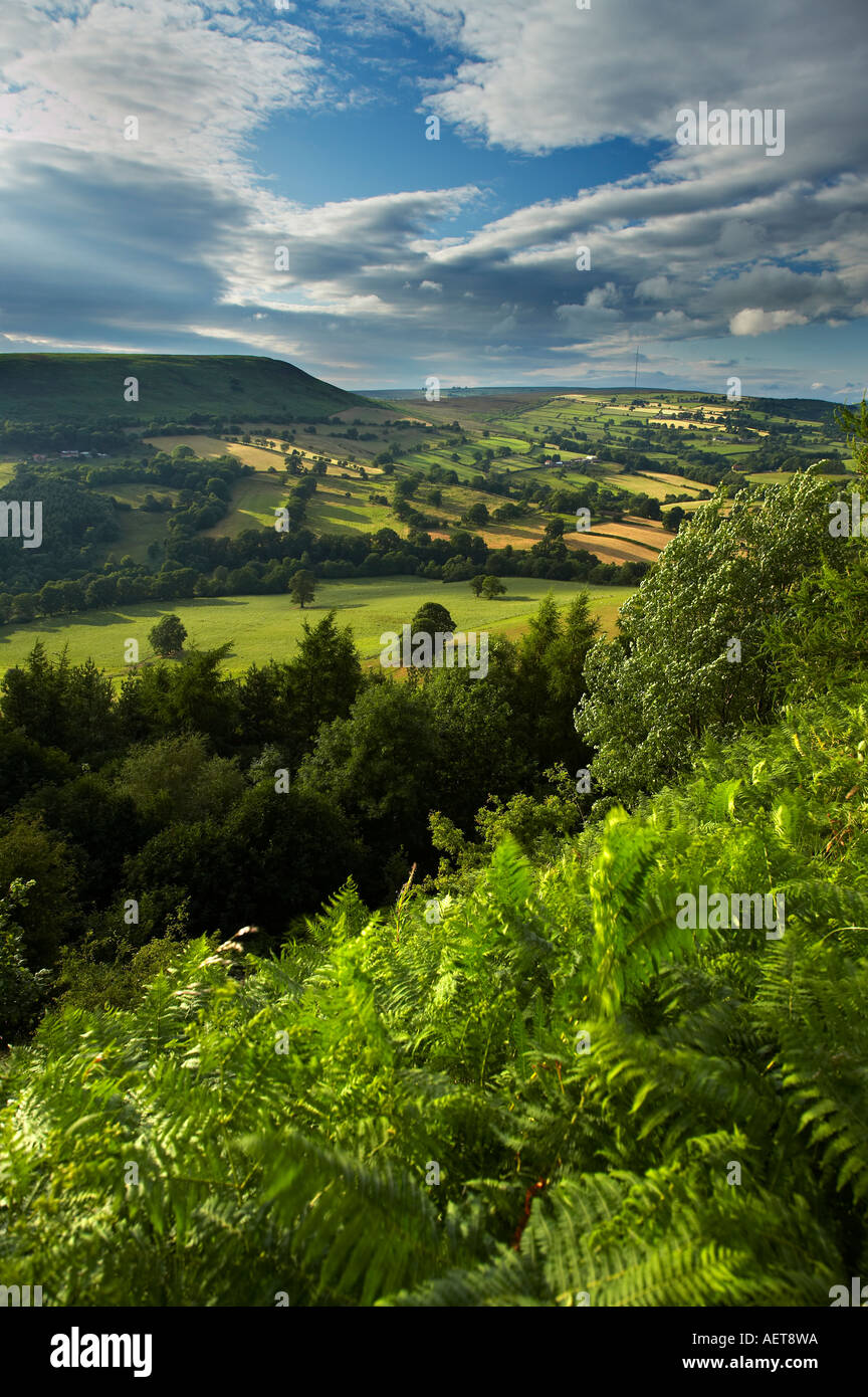 Easterside Hill and Bilsdale North York moors Yorkshire England Stock ...