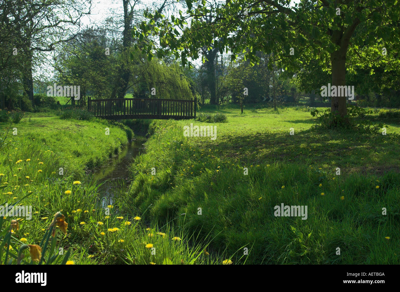Village Green In Muston North Yorkshire England Ynited Kingdom U K ...