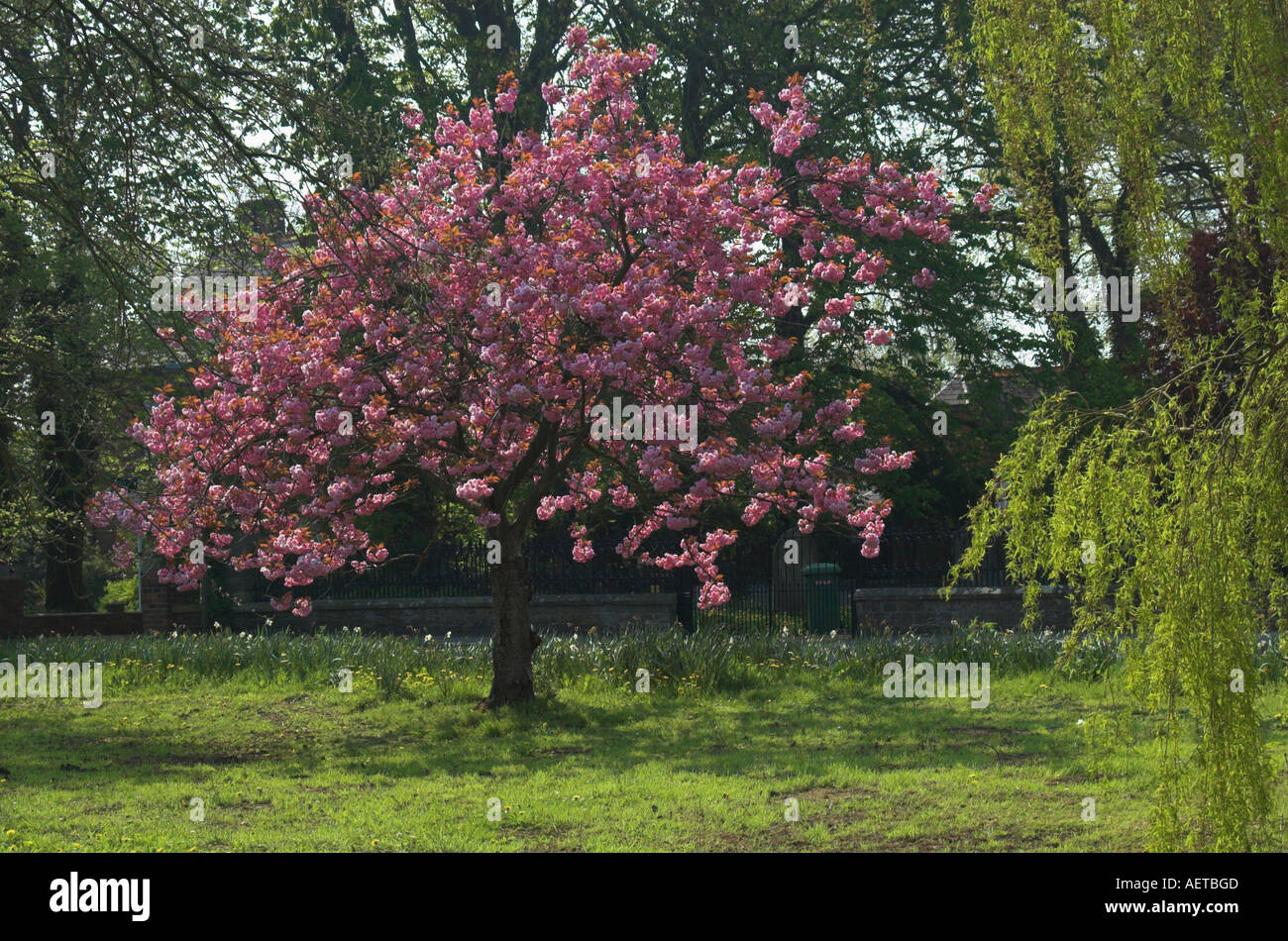 Muston hi-res stock photography and images - Alamy