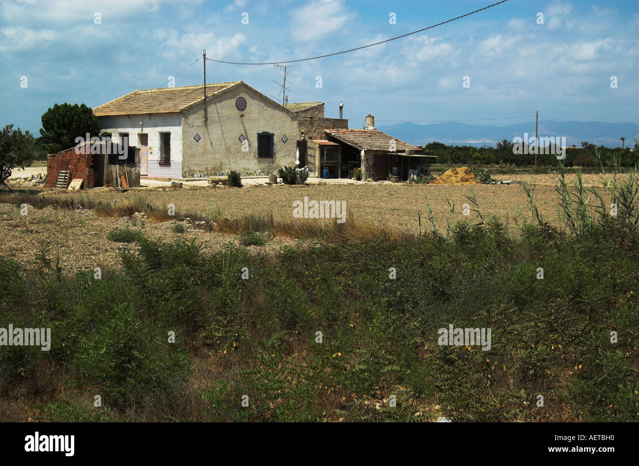 Fertilize orange hi-res stock photography and images - Alamy