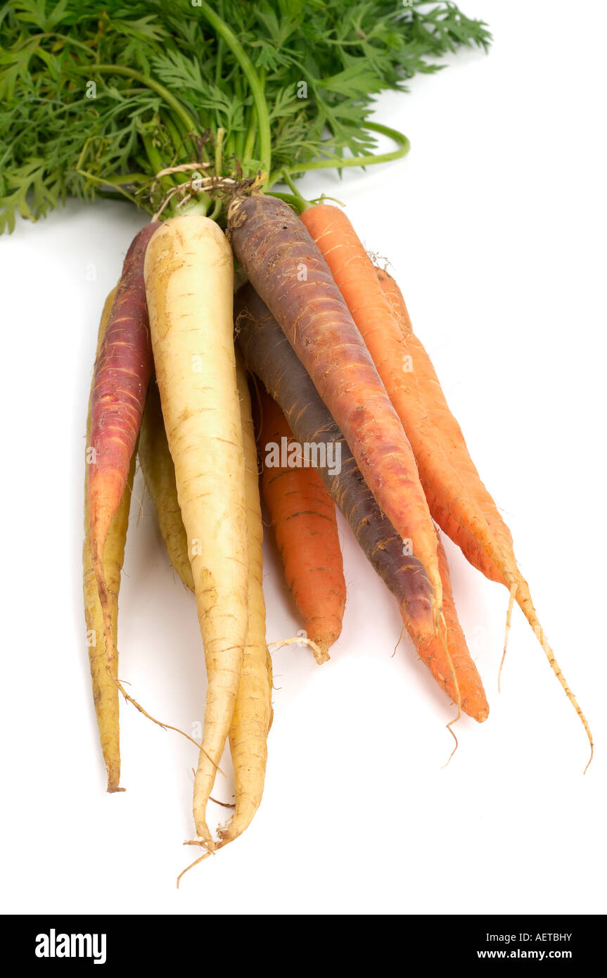 Multi coloured carrots Stock Photo - Alamy