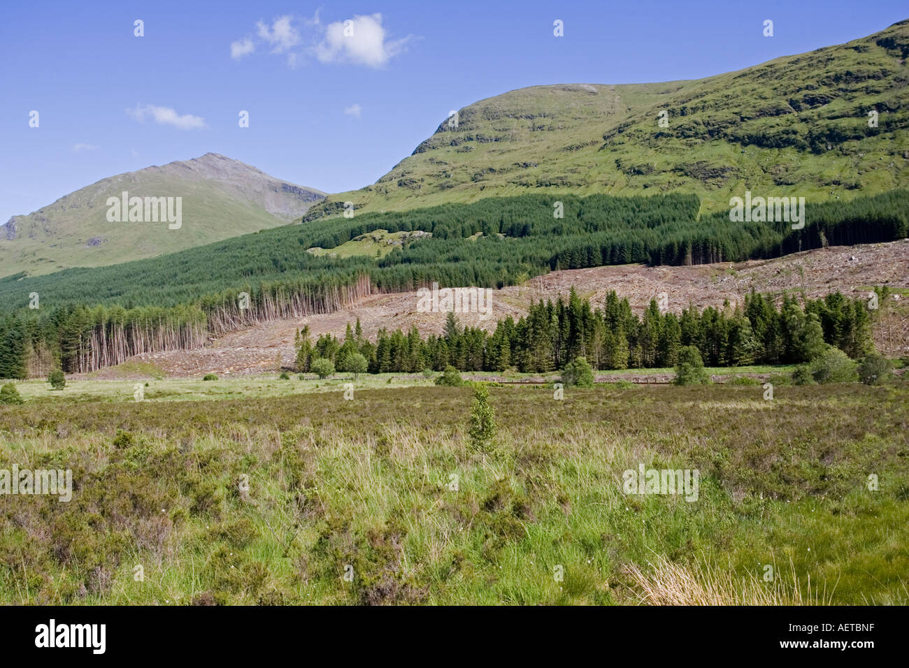 Logging operations hi-res stock photography and images - Alamy