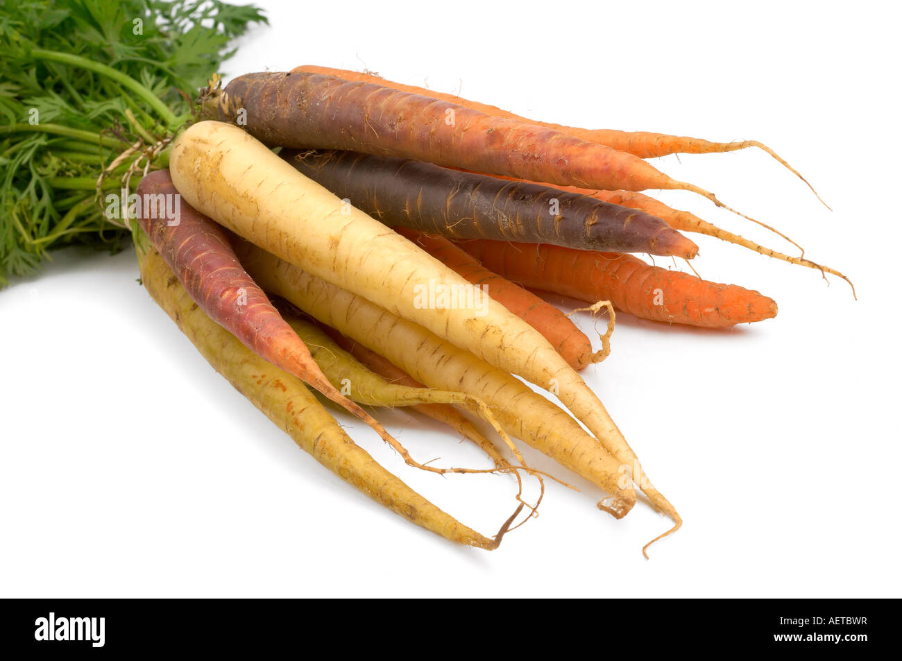 Multi coloured carrots Stock Photo - Alamy