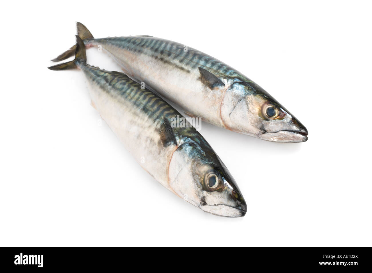 Two Whole Mackrel Stock Photo - Alamy