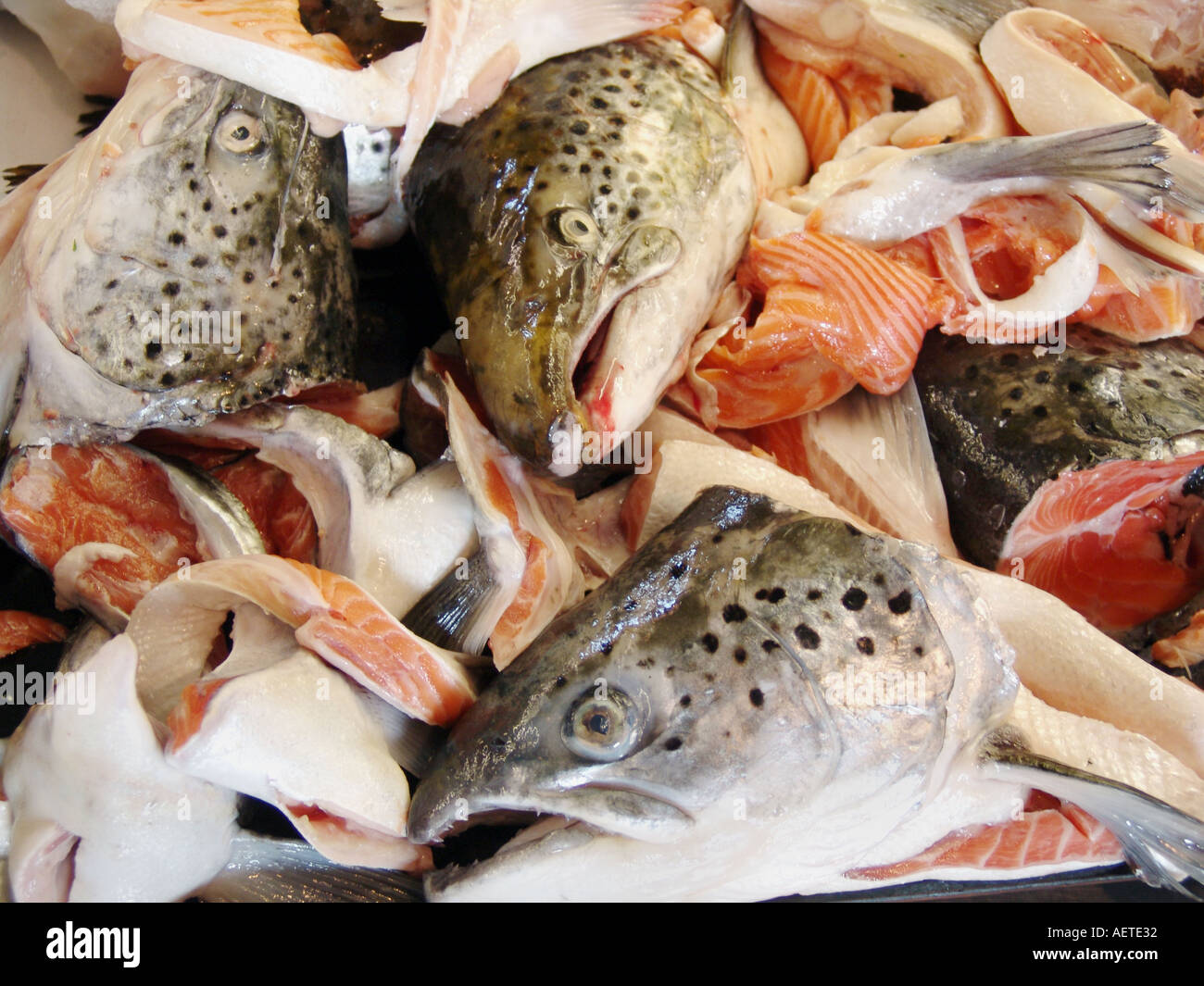 Parts of a fish hi-res stock photography and images - Alamy