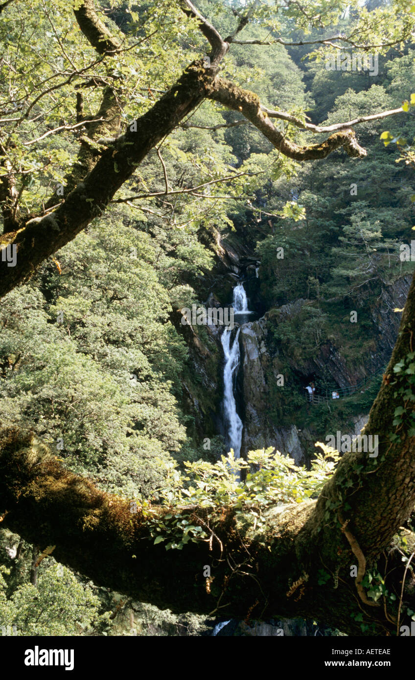 Devil's Bridge Mynach Falls High Resolution Stock Photography and ...