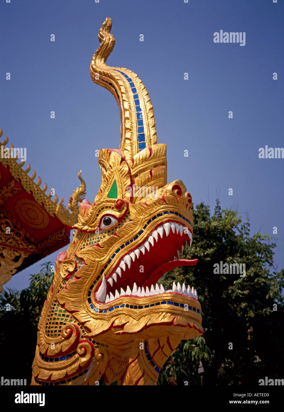 Gold dragon head hi-res stock photography and images - Alamy