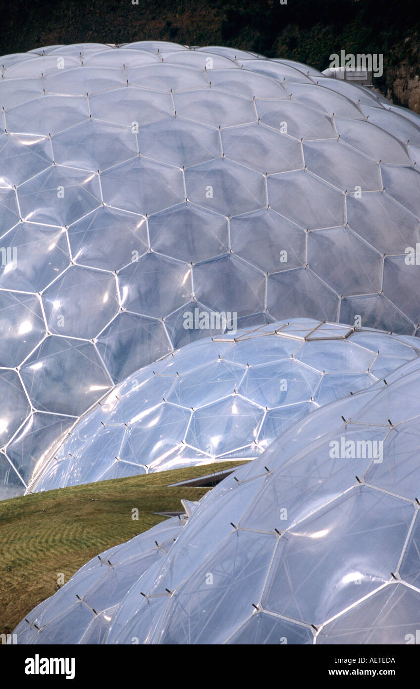 Aerial view of Humid Tropics and Warm Temperate Biomes and the grass ...