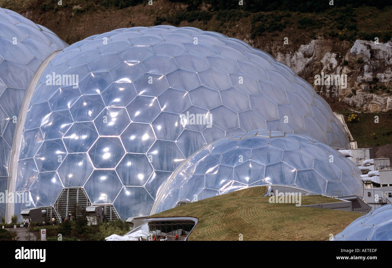 Aerial view of Humid Tropics and Warm Temperate Biomes and the grass ...