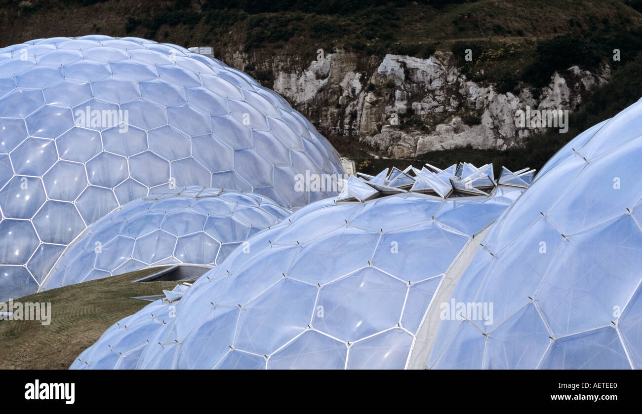 Aerial view of Humid Tropics and Warm Temperate Biomes and the grass ...