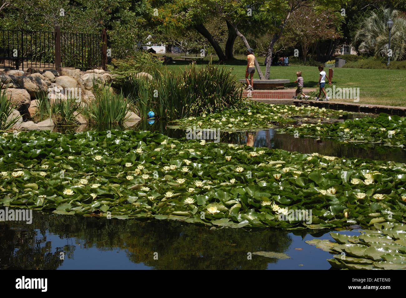 Alice Keck Park Stock Photo - Alamy