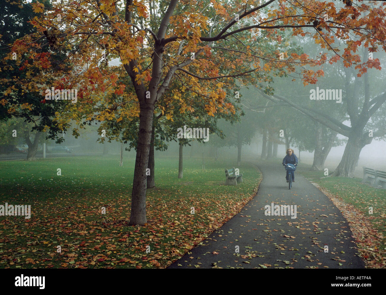 Riding bike in the mist of Autumn Toronto Canada Stock Photo - Alamy