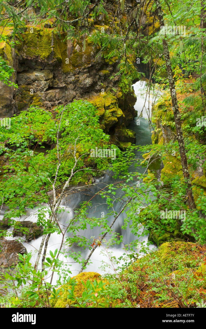The Rogue River Gorge Rogue River National Forest Oregon Stock Photo ...