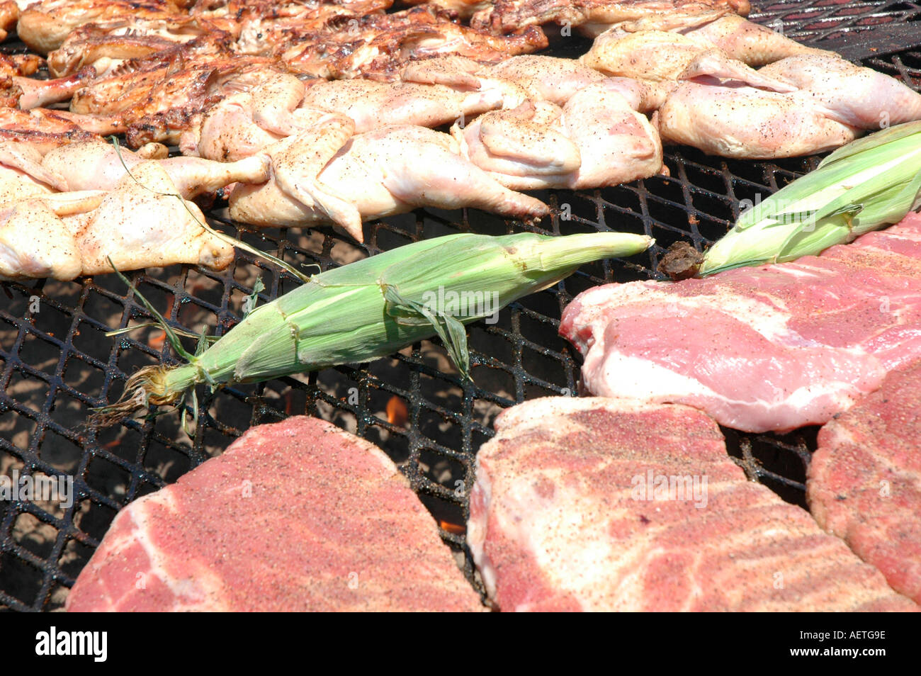 Beef Turkey Chicken and other food for eating at the Ohio State Fair in ...
