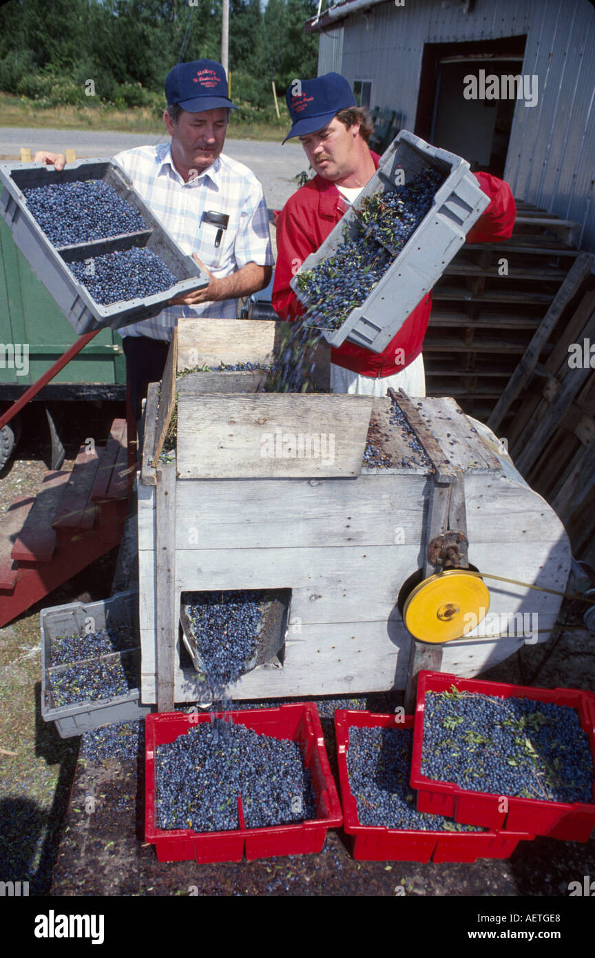 Canada,Canadian,North America New Brunswick Province,Pennfield,father ...