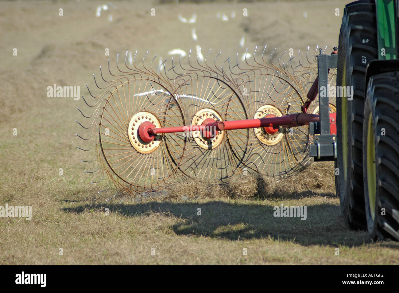 Farmer cutting crops hi-res stock photography and images - Alamy