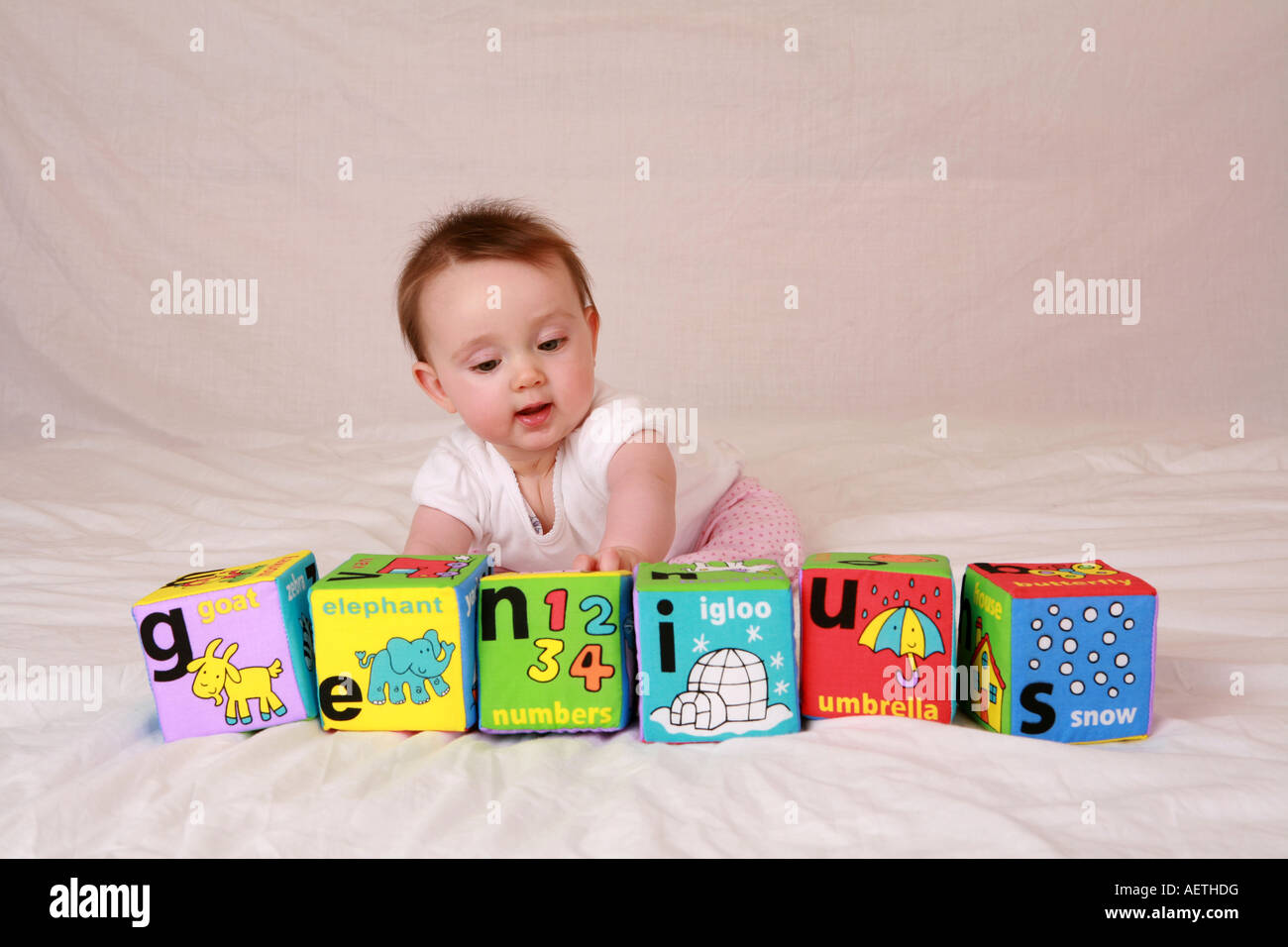 Genius baby einstein hi-res stock photography and images - Alamy