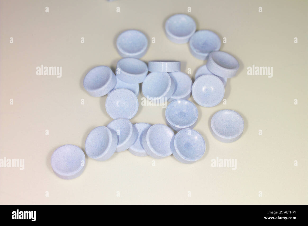 Parma violets on a cream background Stock Photo - Alamy