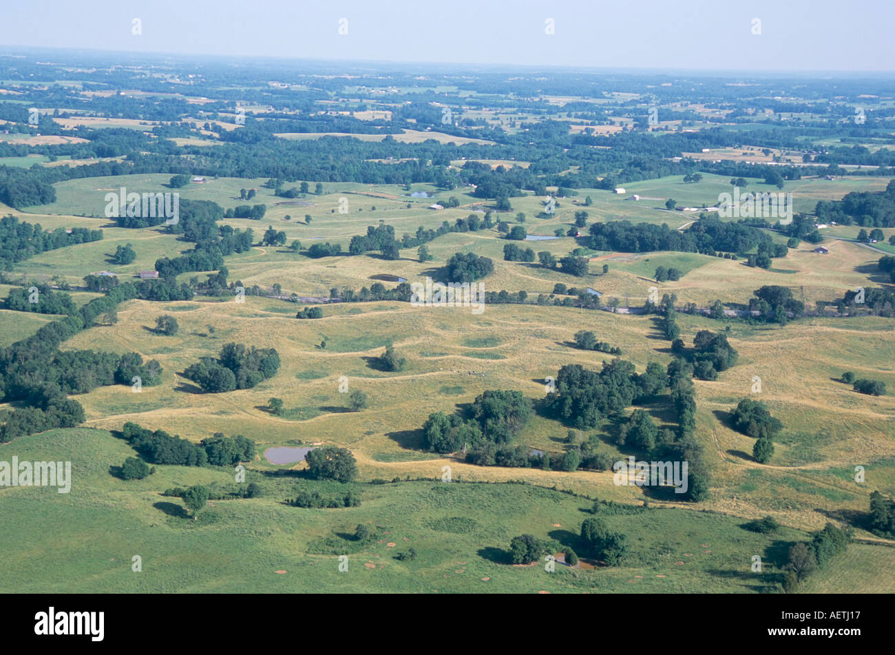 Sinkhole Plain polygonal doline karst near Mammoth Cave Kentucky United ...