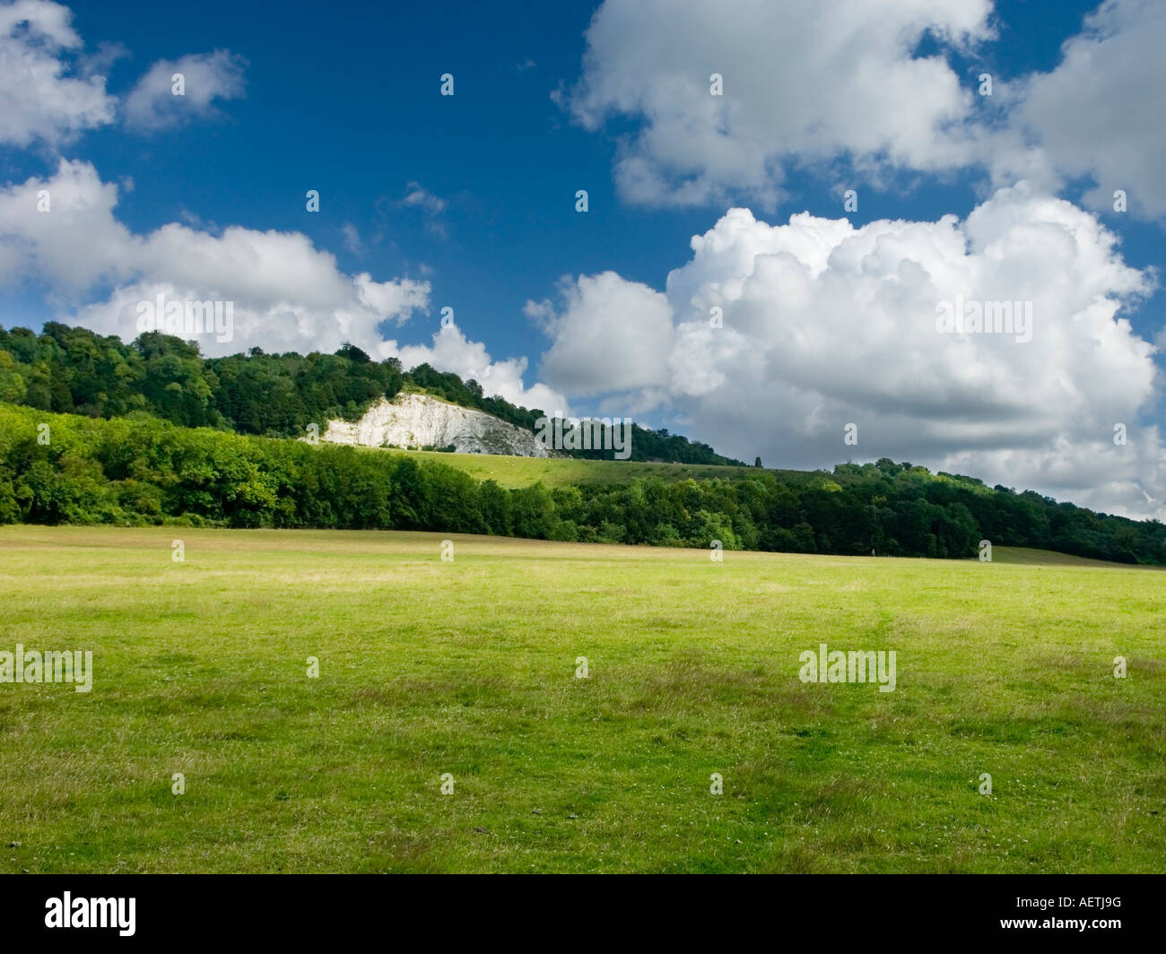 Chalk pit surrey hi-res stock photography and images - Alamy