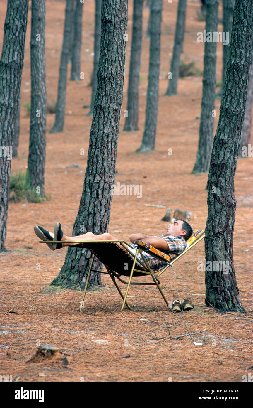 Man sleeping beneath trees Aquitaine France Europe Stock Photo - Alamy