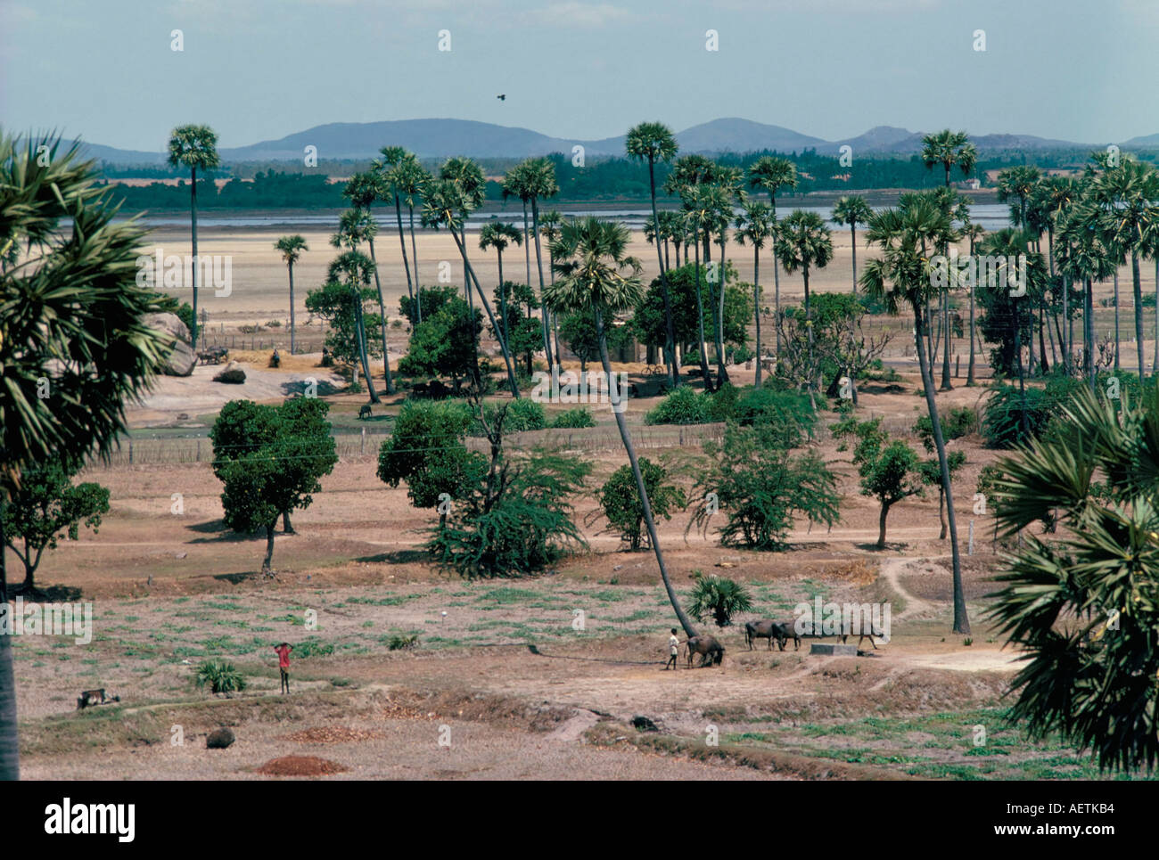 Deccan plateau Tamil Nadu India Asia Stock Photo - Alamy