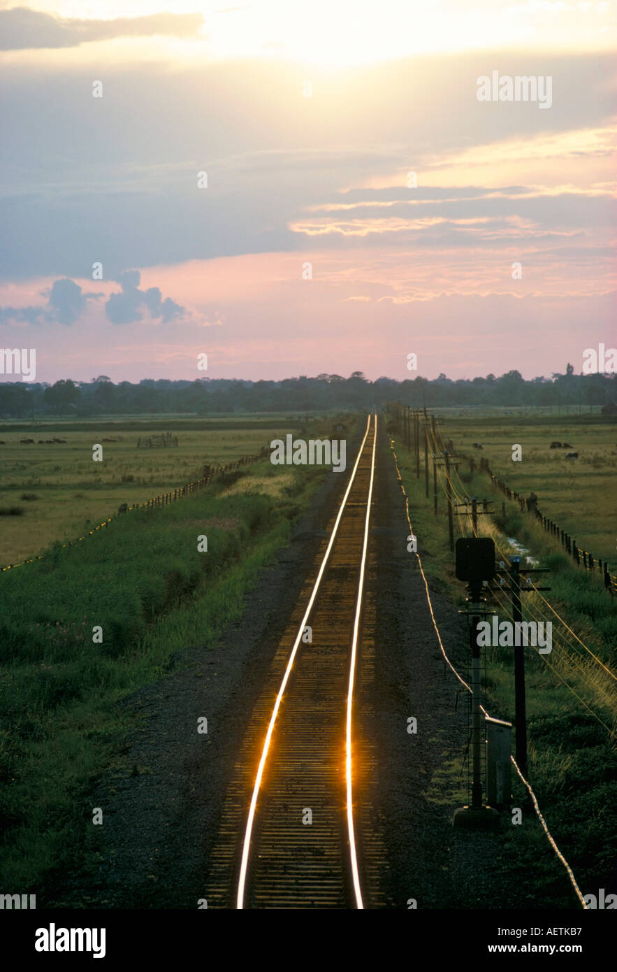 Single rail track running through countryside Stock Photo - Alamy