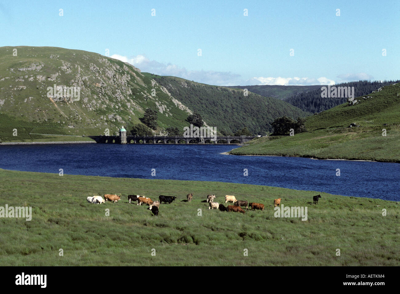 Trees Flooding farmland all Puddle wales Field cymru Flood winter Powys ...