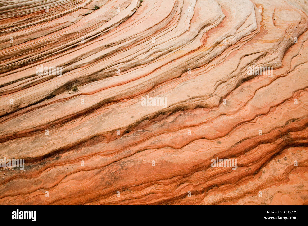 Exfoliating sandstone hi-res stock photography and images - Alamy