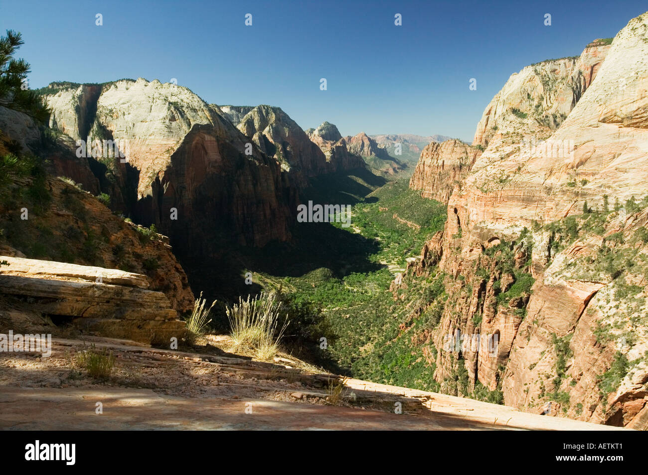 Zion height hi-res stock photography and images - Alamy