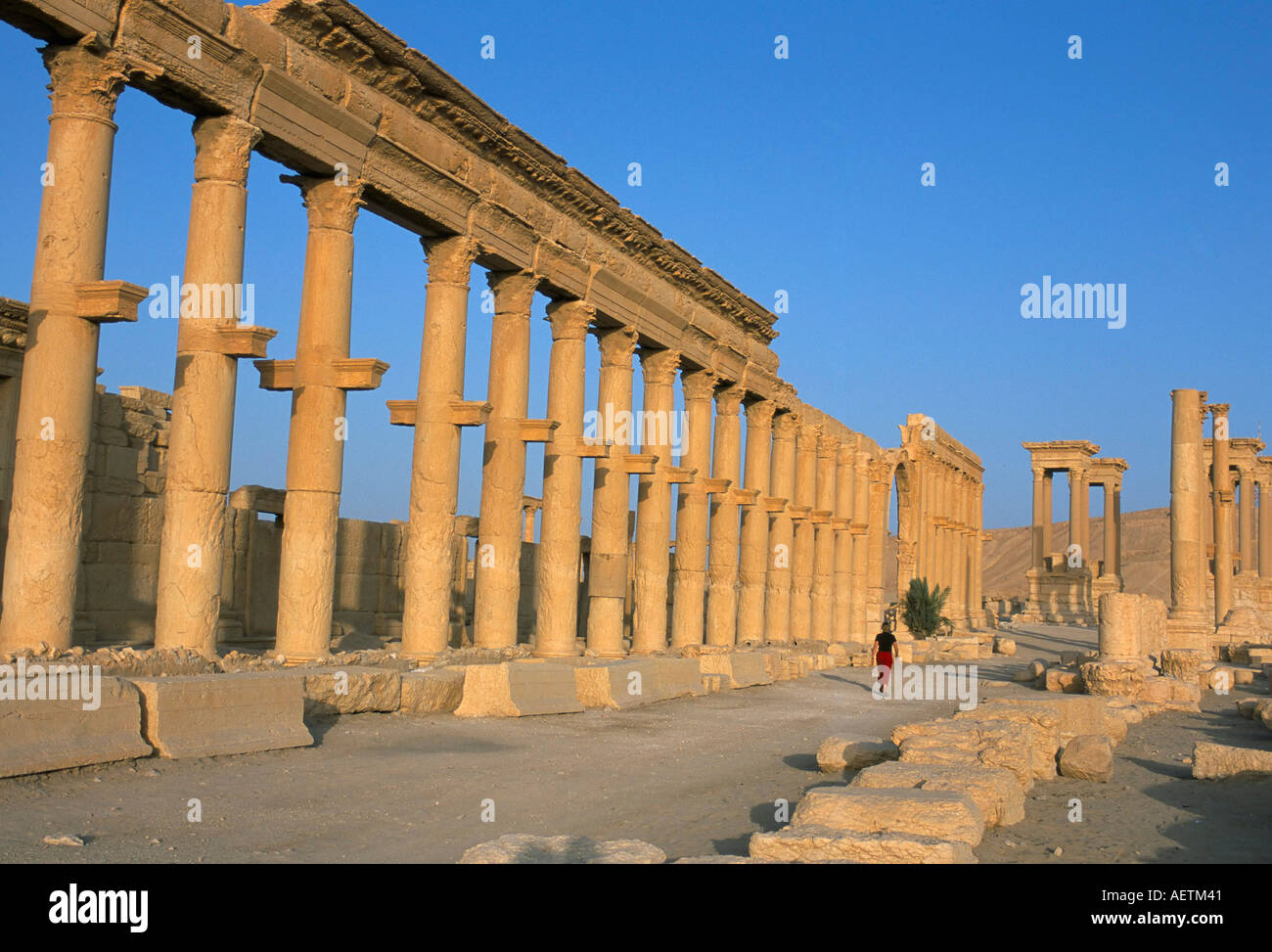 Ruins of the colonnade Palmyra UNESCO World Heritage Site Syria Middle ...