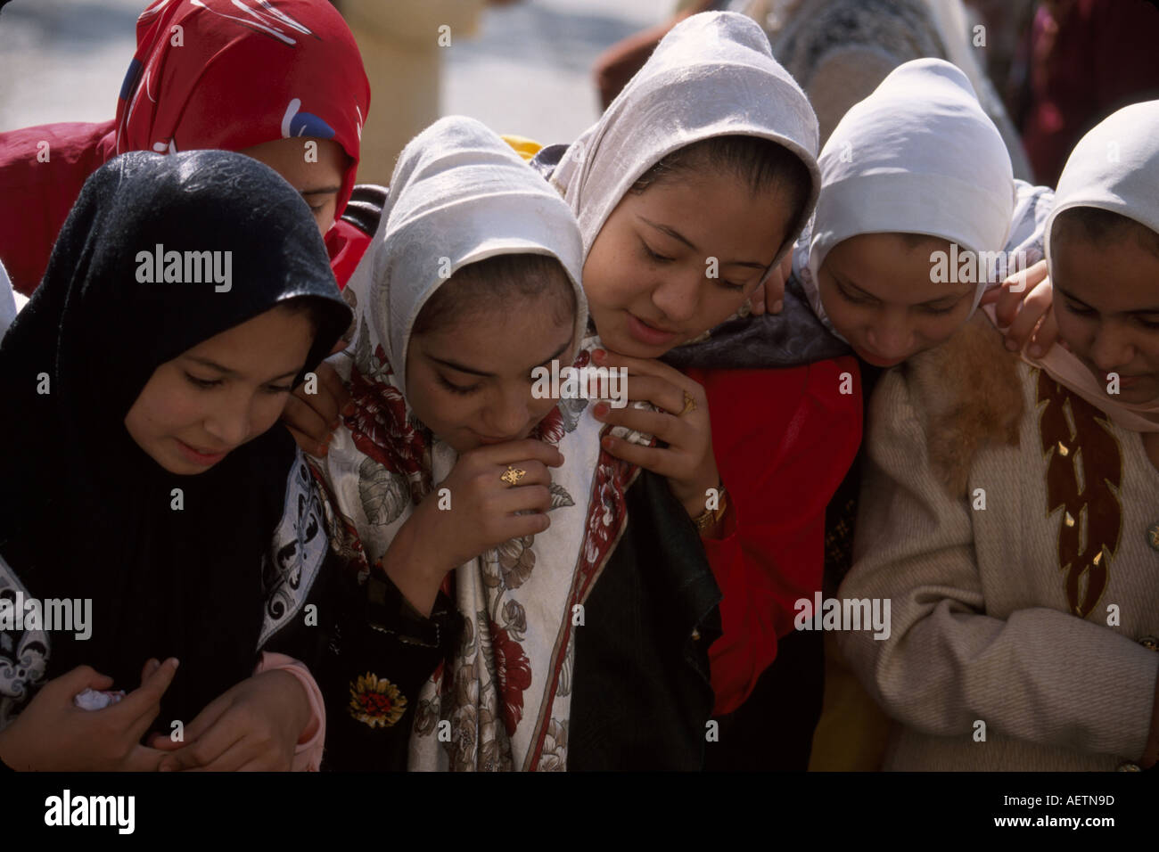 Egypt,Egyptian,North,Northern,Africa,African,Mid Middle East,Eastern ...