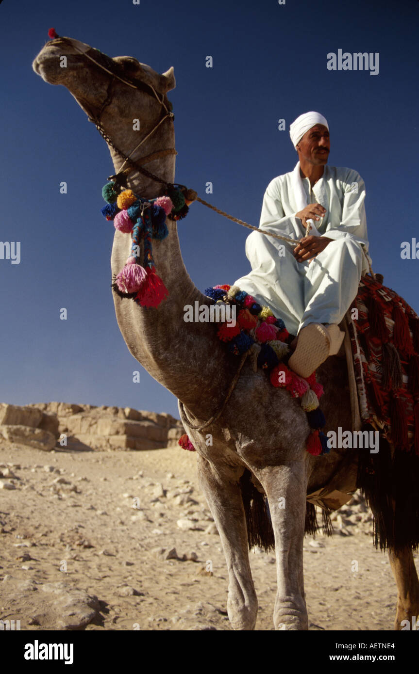 Egypt,Egyptian,North,Northern,Africa,African,Mid Middle East,Eastern ...