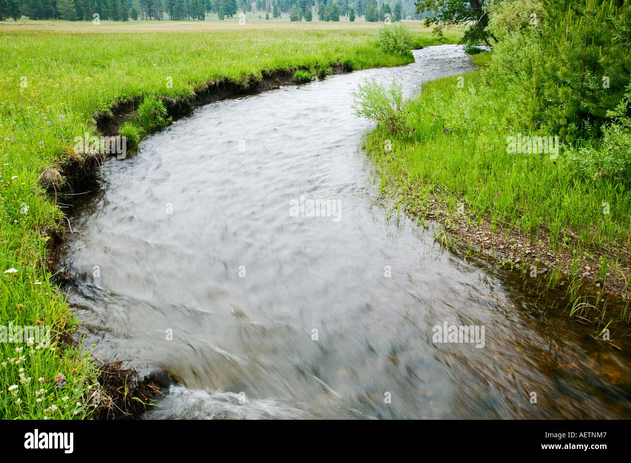 Sagehen creek hi-res stock photography and images - Alamy