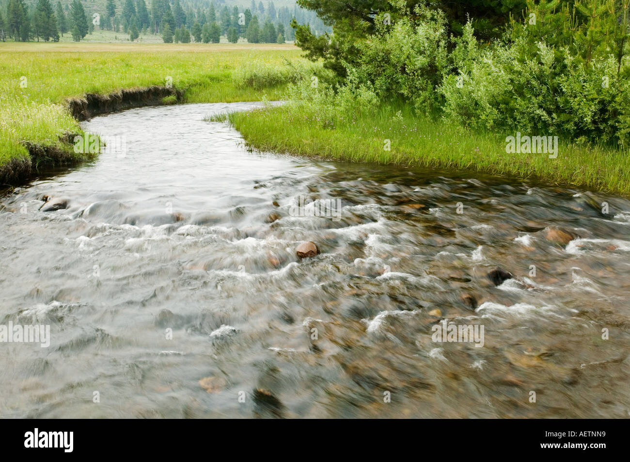 Sagehen creek hi-res stock photography and images - Alamy