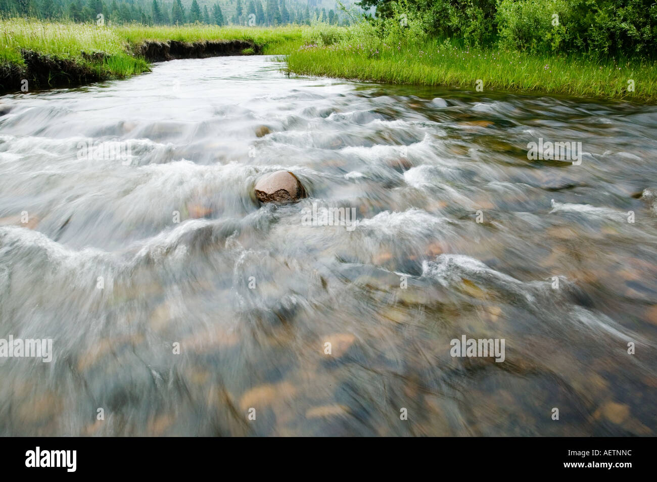 Sagehen creek hi-res stock photography and images - Alamy
